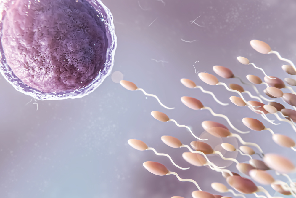 How Sperm Blockage Affects Male Fertility