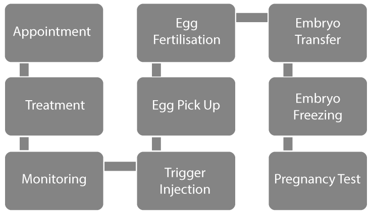IVF Treatment process steps